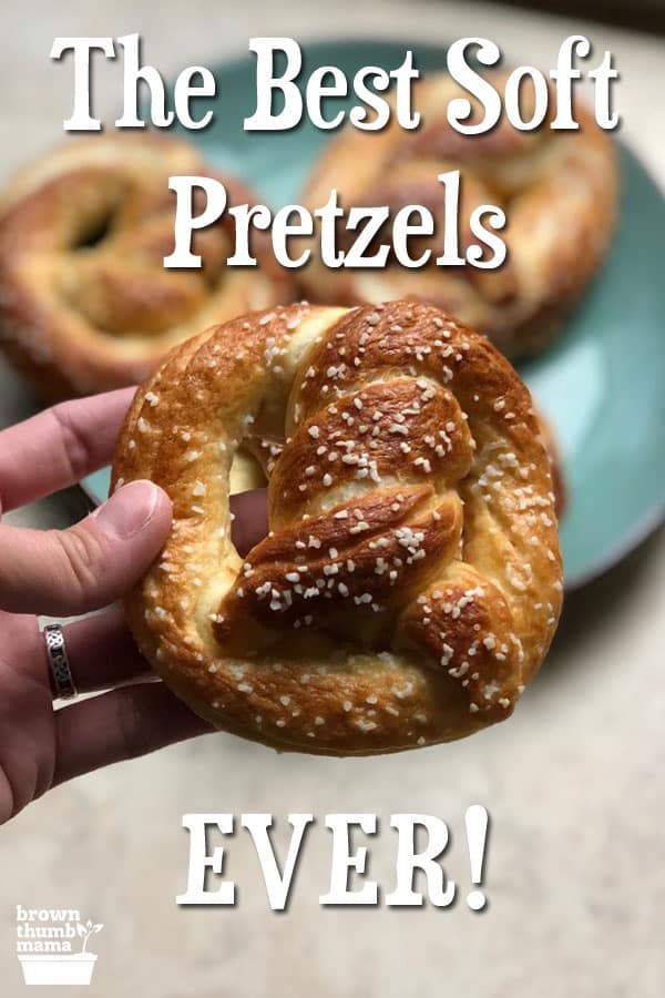 Best Homemade Soft Pretzels - Brown Thumb Mama®