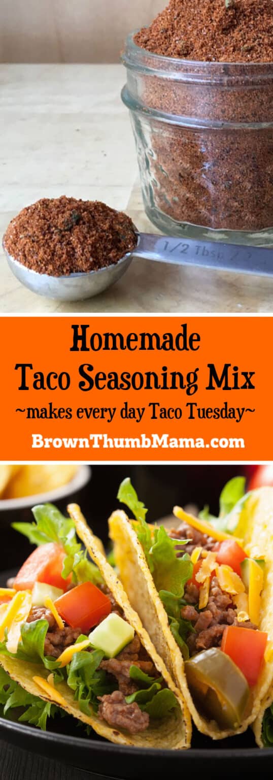 Easy Homemade Taco Seasoning Mix - Brown Thumb Mama®