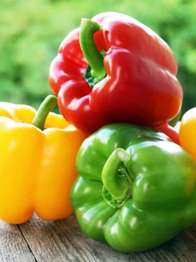 How to Freeze Bell Peppers Story - Brown Thumb Mama®