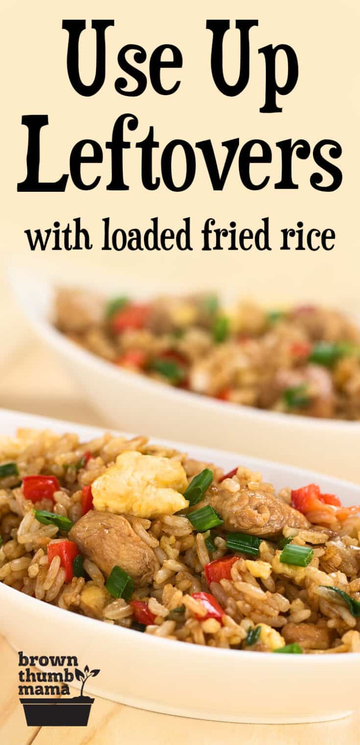 Make Fried Rice & Use Up Leftovers - Brown Thumb Mama®