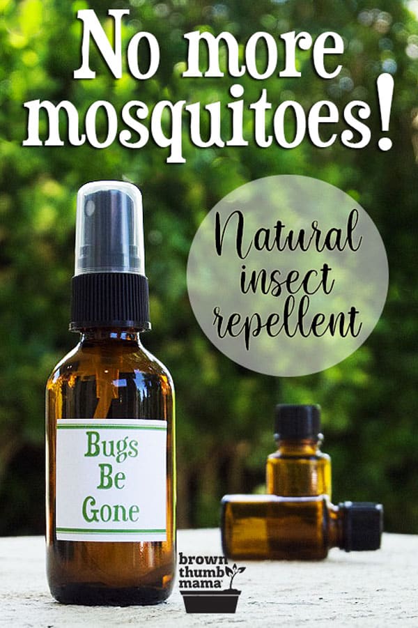 DIY Natural Insect Repellent - Brown Thumb Mama®
