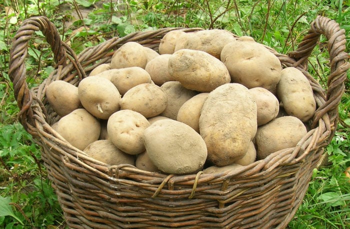 The Fast and Easy Way to Wash Potatoes - Brown Thumb Mama®