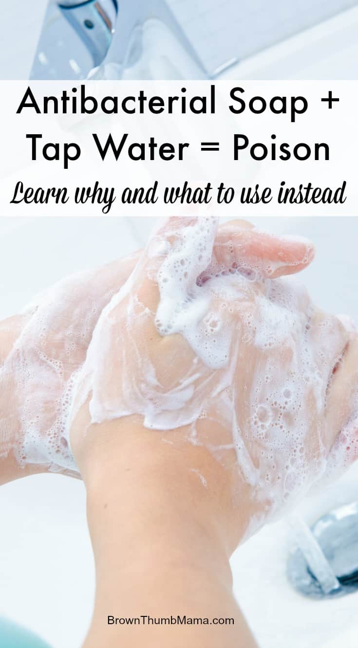 Antibacterial Soap: Protection or Poison? - Brown Thumb Mama®