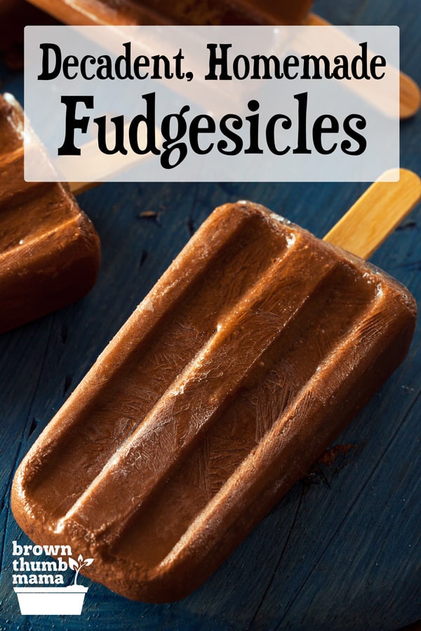 Homemade Fudgesicle Recipe - Brown Thumb Mama®