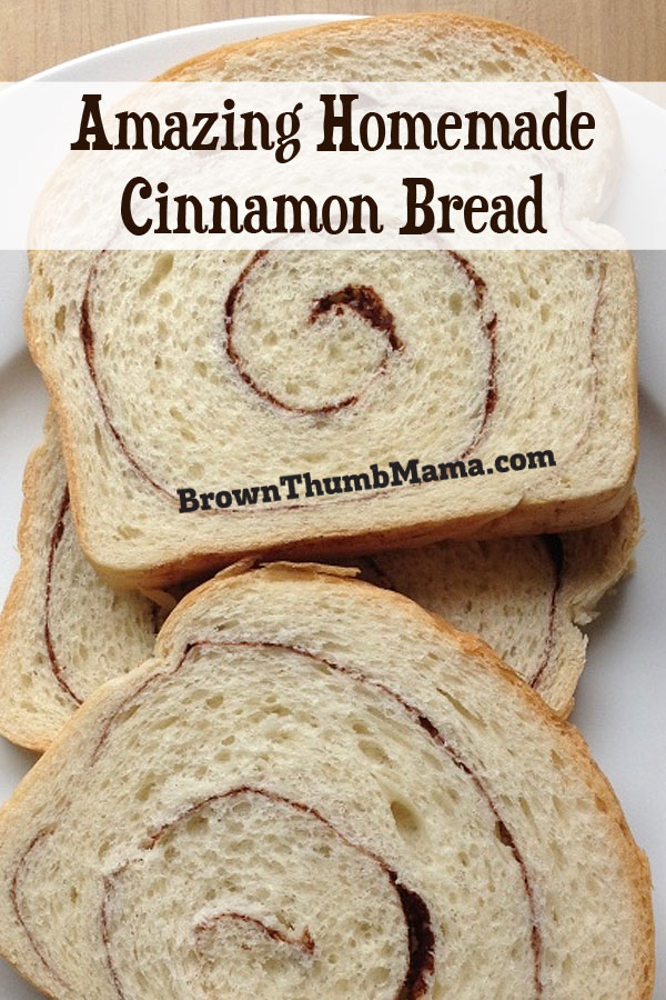 Homemade Cinnamon Bread Recipe - Brown Thumb Mama®