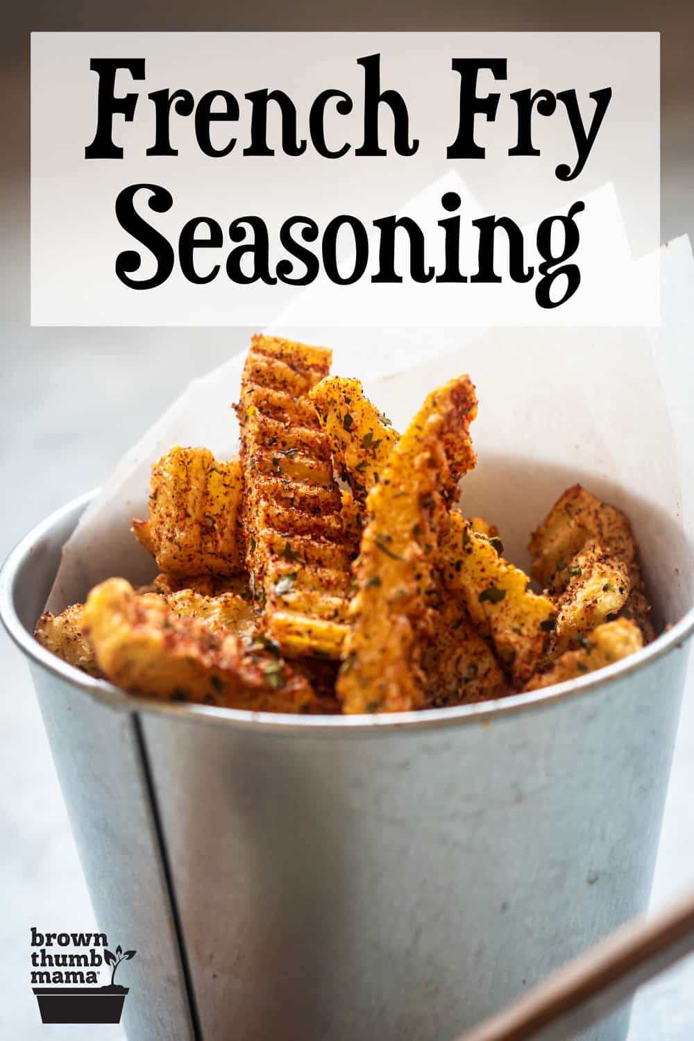 Homemade French Fry Seasoning Recipe - Brown Thumb Mama®