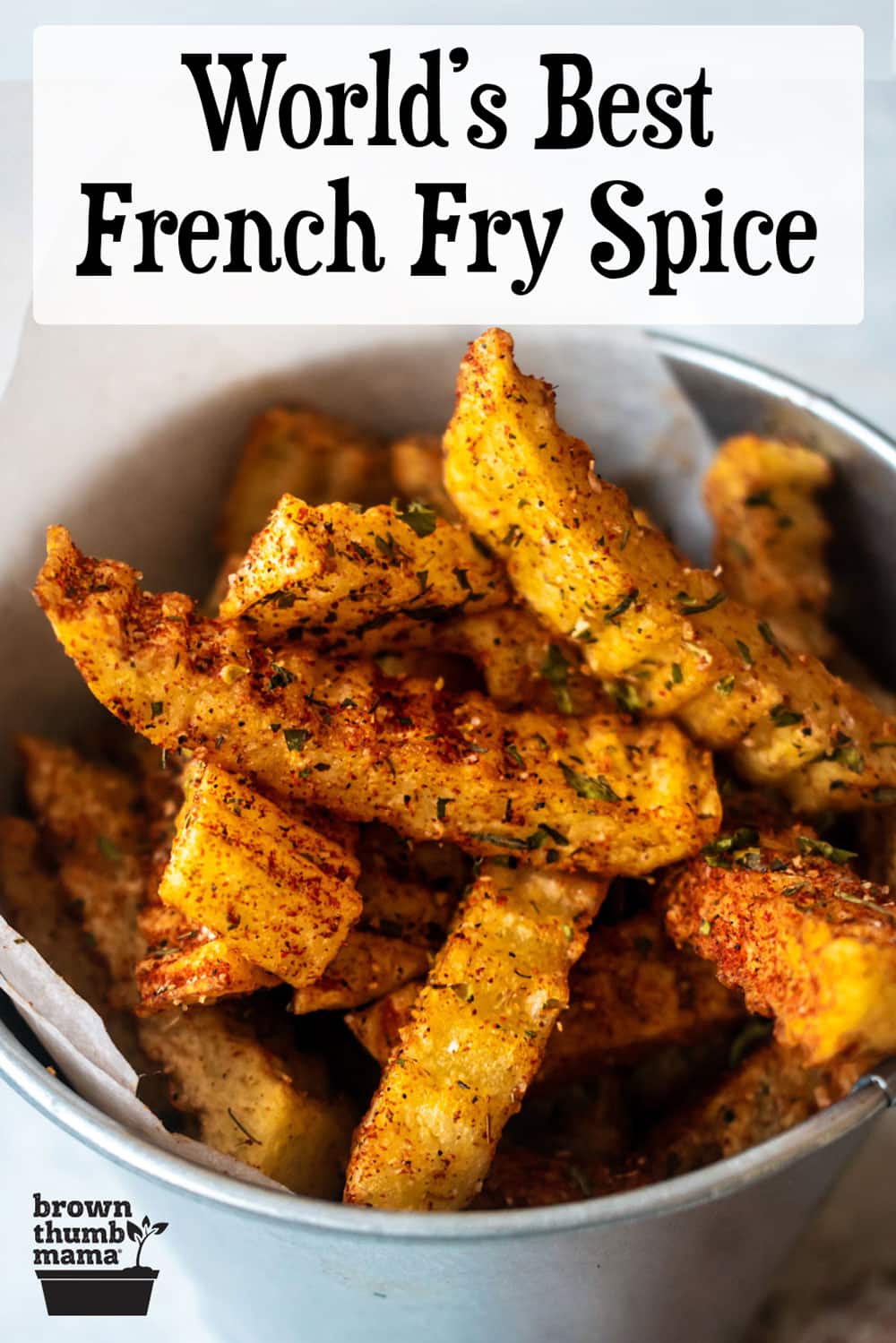 Homemade French Fry Seasoning Recipe - Brown Thumb Mama®