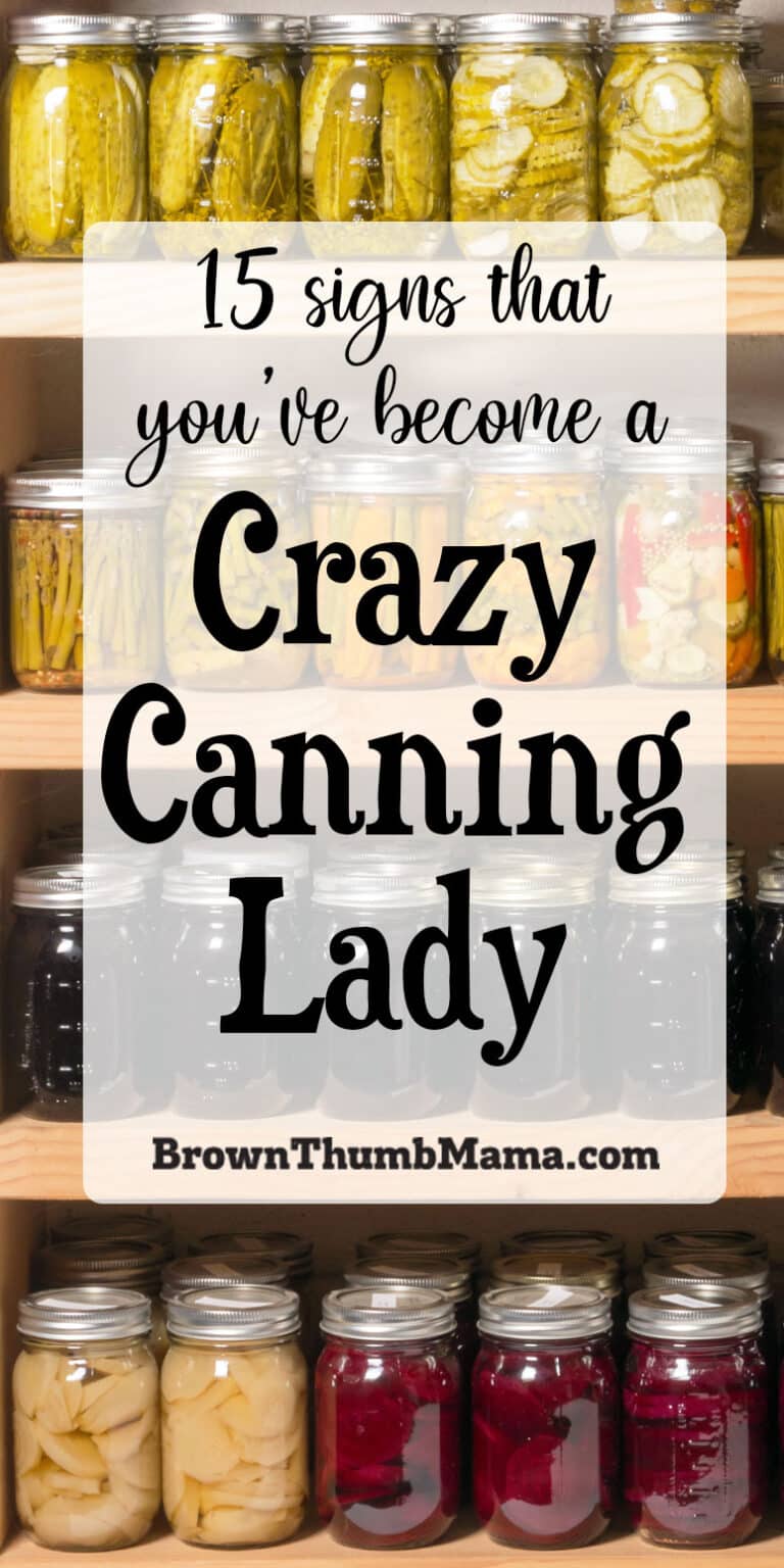 15 Signs That You’re a Crazy Canning Lady - Brown Thumb Mama®