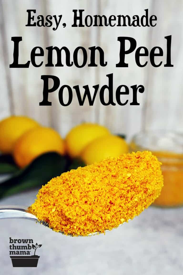 How to Dry and Use Lemon Peel - Brown Thumb Mama®