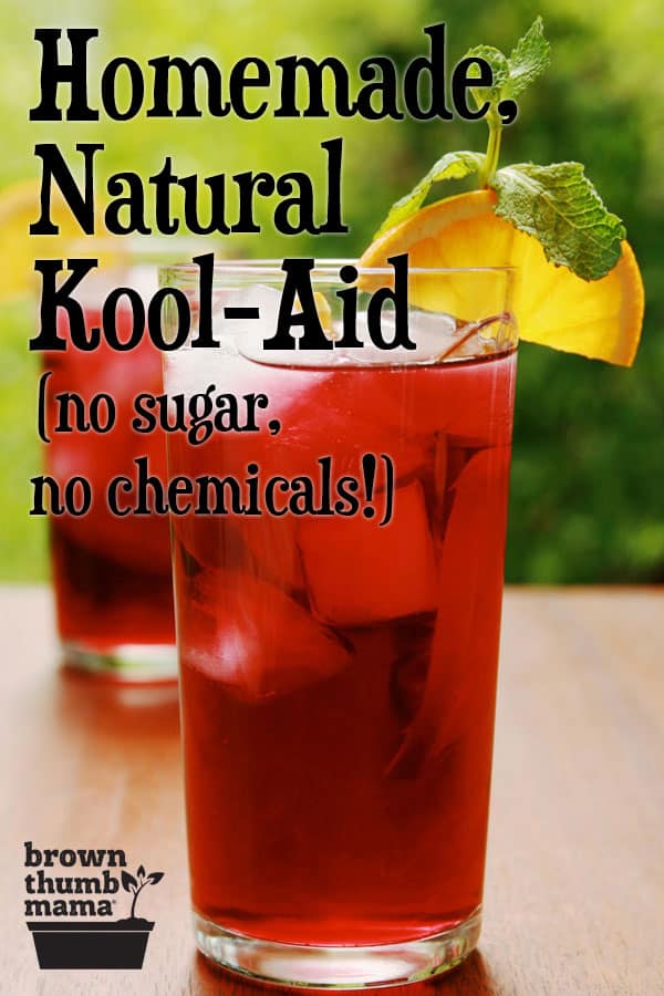 Copycat Natural Kool-Aid - Brown Thumb Mama®