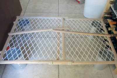 How to Harvest & Store Garlic - Brown Thumb Mama®