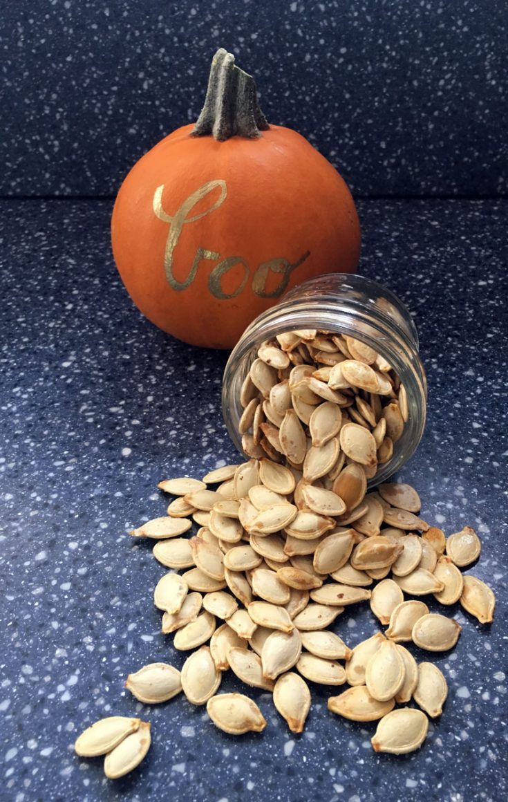 Roasted Pumpkin Seeds - Brown Thumb Mama®