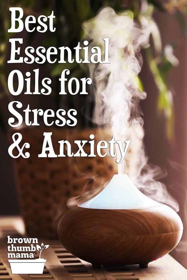 Best Essential Oils for Stress & Anxiety - Brown Thumb Mama®