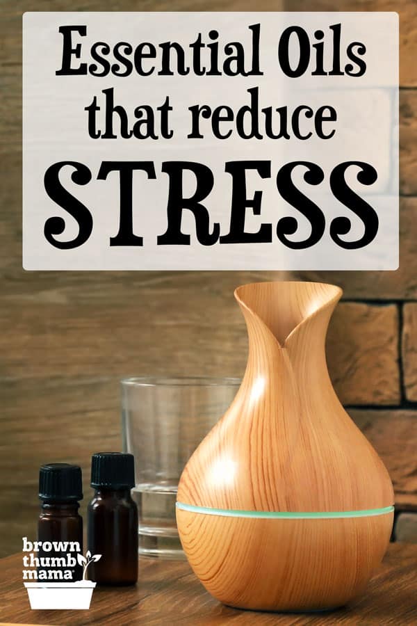Best Essential Oils for Stress & Anxiety - Brown Thumb Mama®