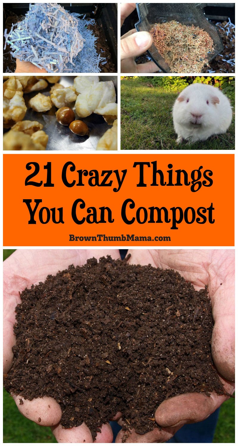 21 Crazy Things You Can Compost - Brown Thumb Mama®
