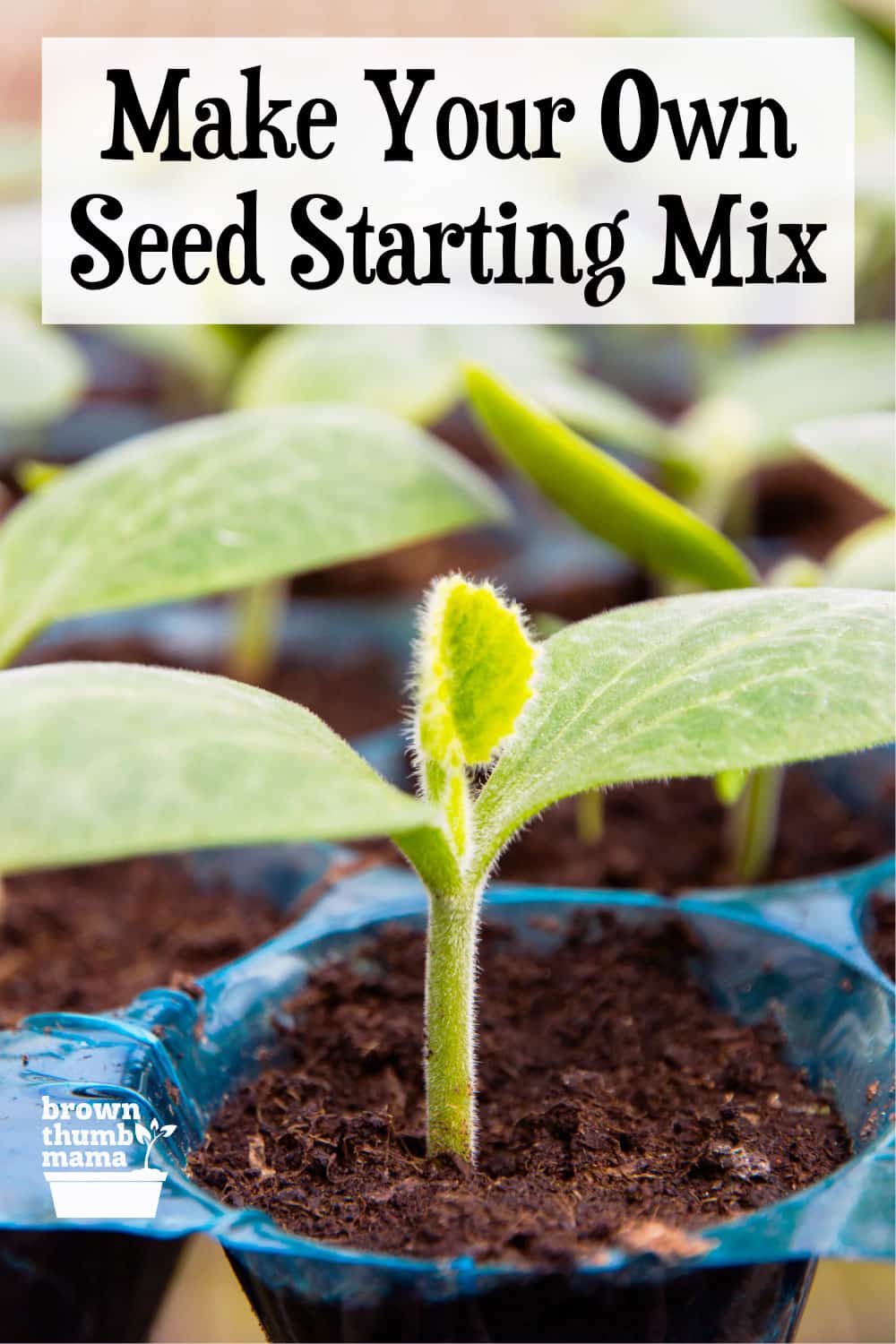 Homemade Seed Starting Mix - Brown Thumb Mama®