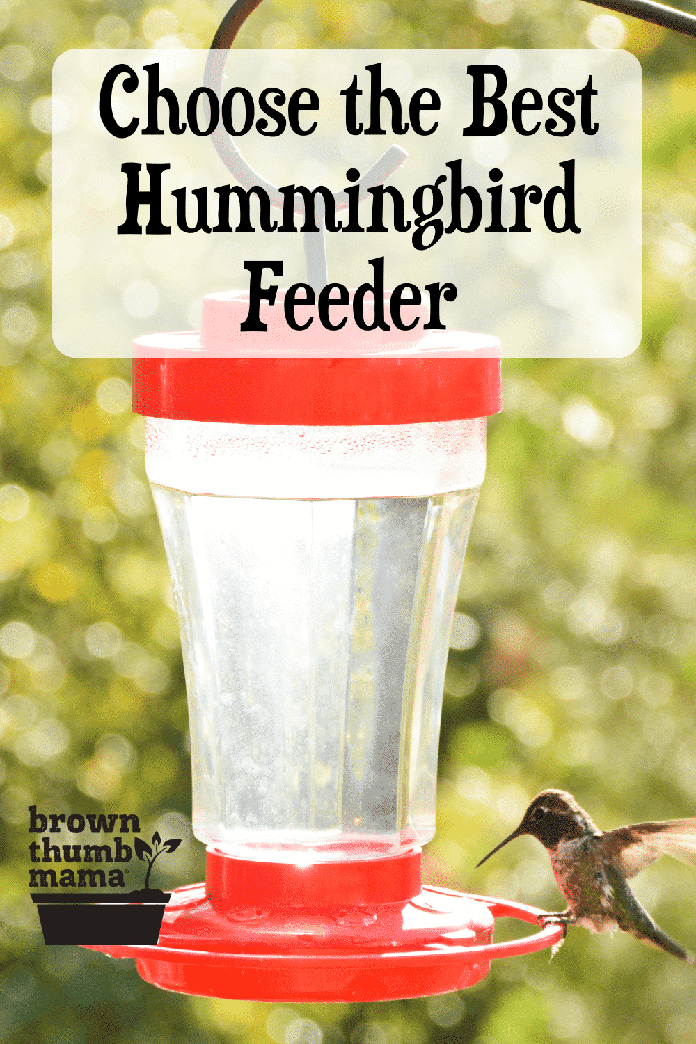 Pick the Best Hummingbird Feeder - Brown Thumb Mama®