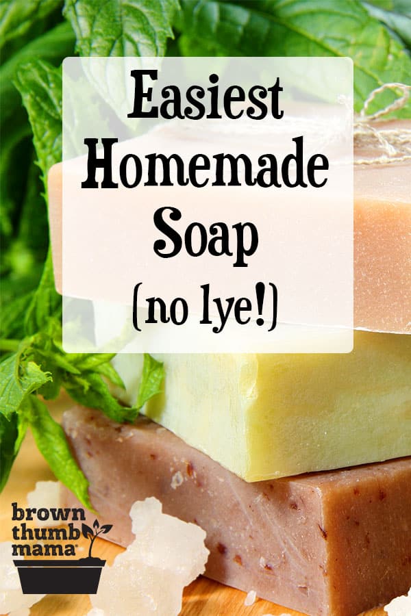 Make Soap Without Using Lye - Brown Thumb Mama®