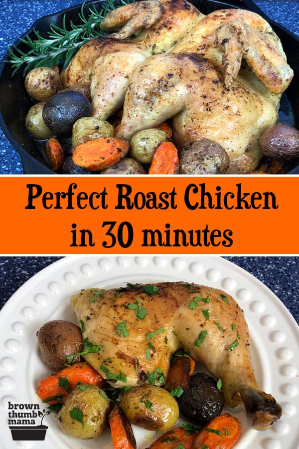 Perfect Roast Chicken in 30 Minutes - Brown Thumb Mama®