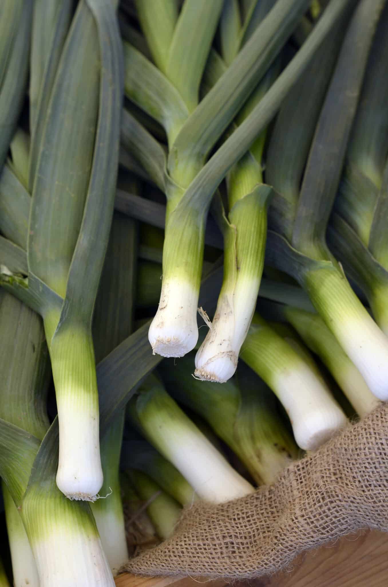 11 Vegetables to Plant in August {Zone 9} - Brown Thumb Mama®