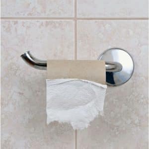 5 Natural Alternatives to Toilet Paper - Brown Thumb Mama®
