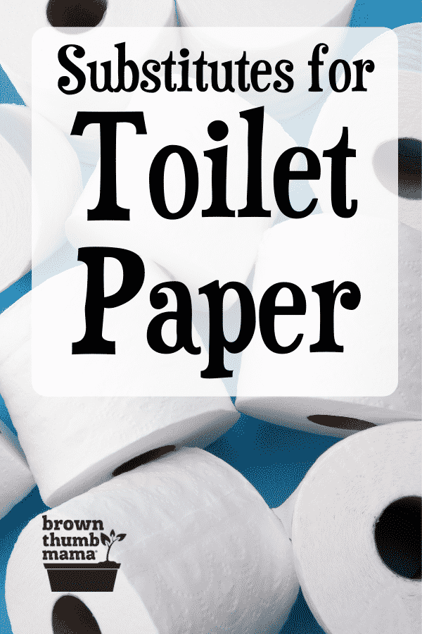 5 Natural Alternatives to Toilet Paper - Brown Thumb Mama®
