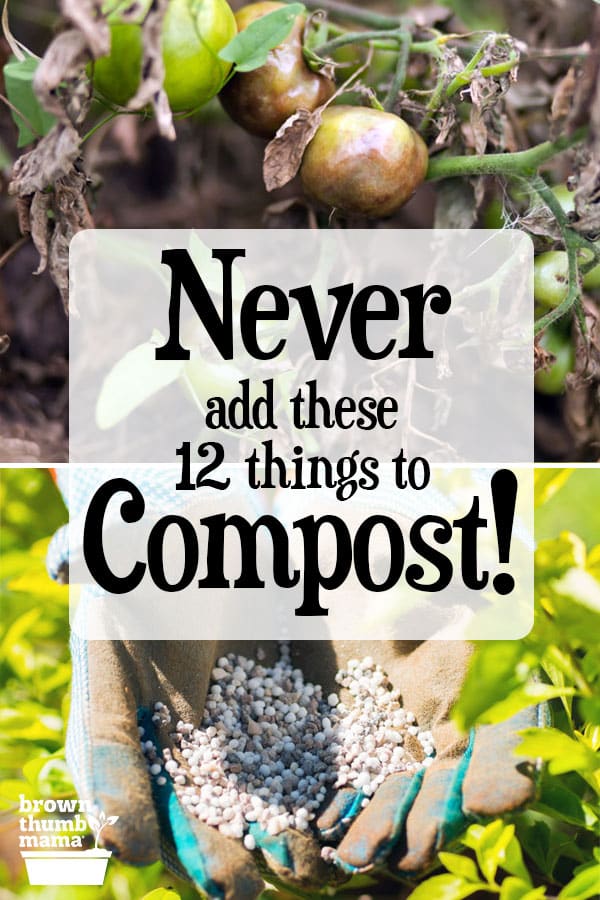 12 Things You Can't Compost - Brown Thumb Mama®