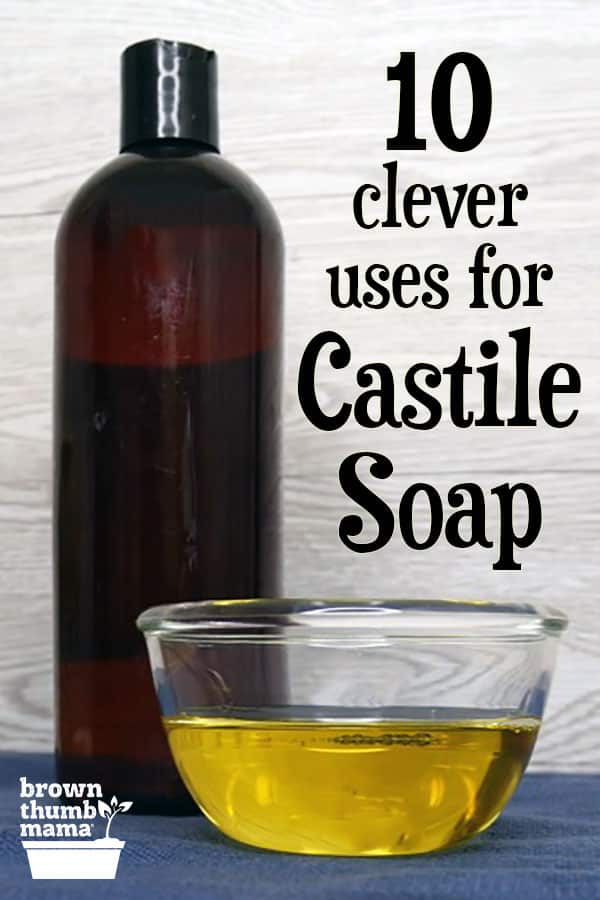 10 Clever Uses for Castile Soap - Brown Thumb Mama®