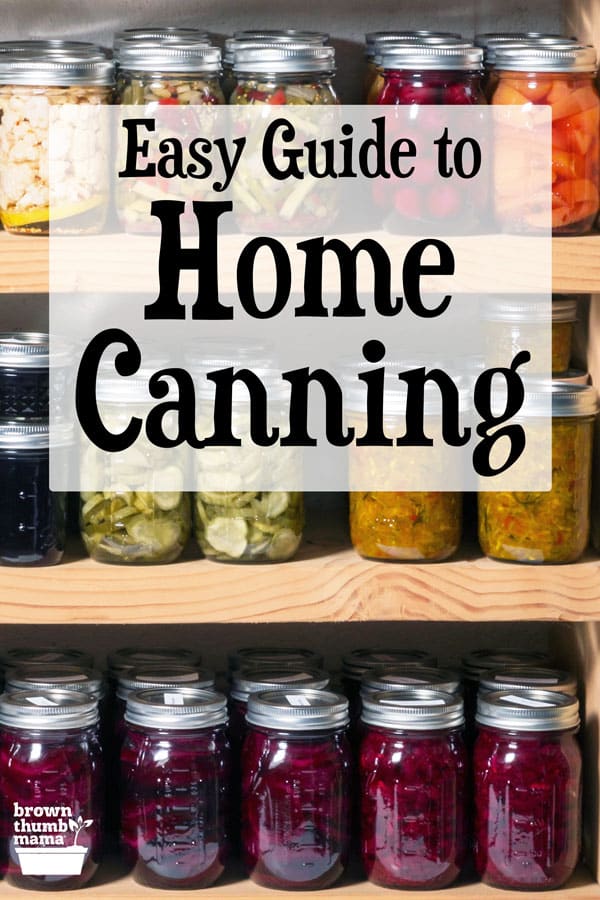 Your Easy Guide to Home Canning - Brown Thumb Mama®