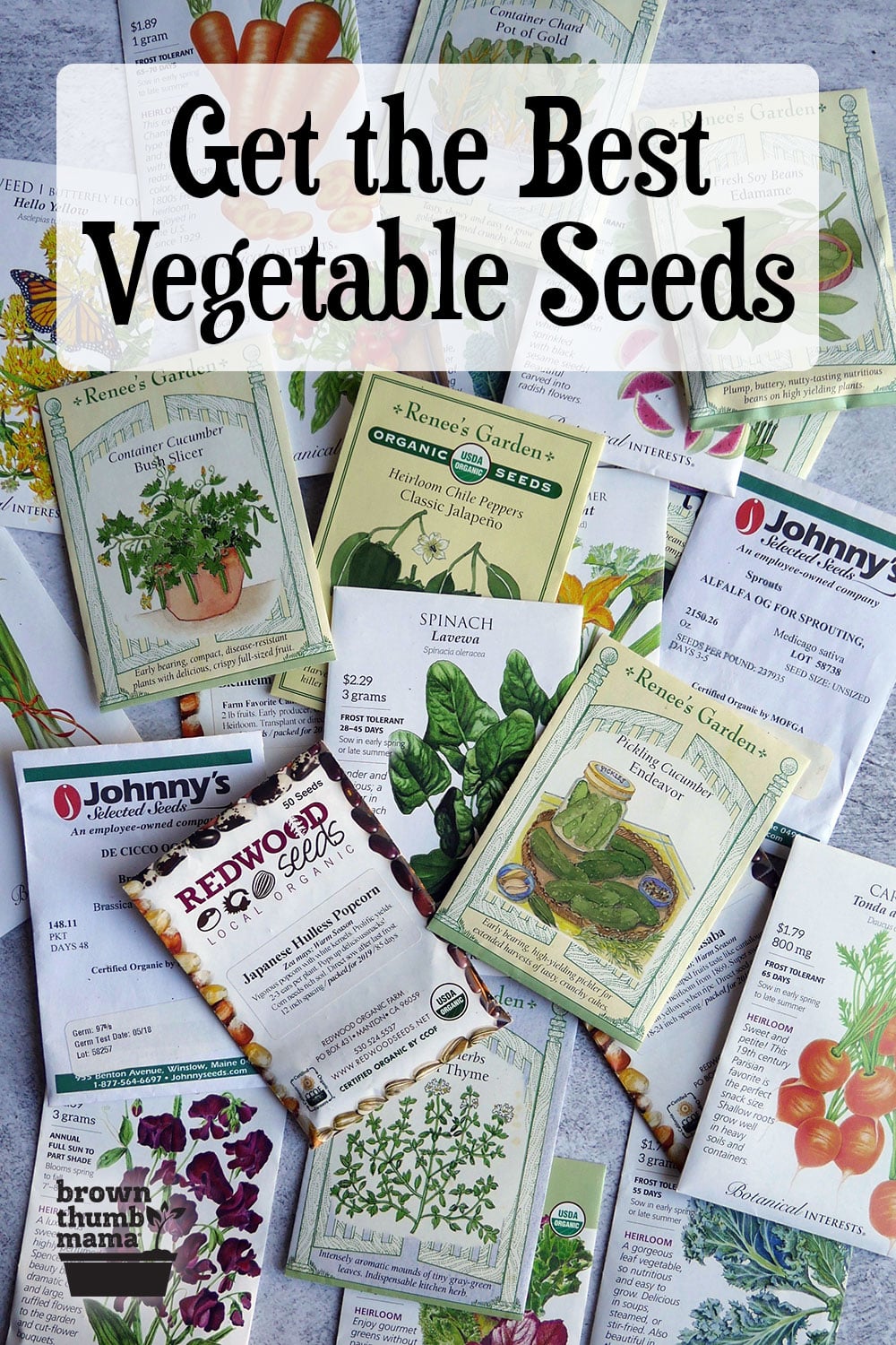 Vegetable Seed Buying Guide - Brown Thumb Mama®