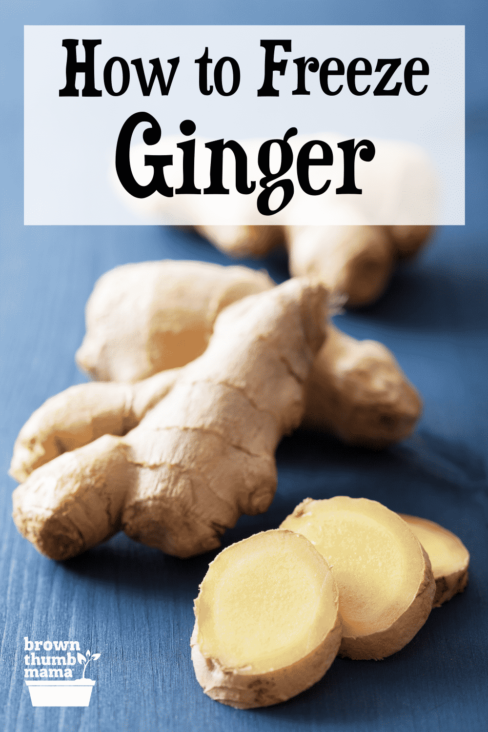 How to Freeze & Store Ginger - Brown Thumb Mama®