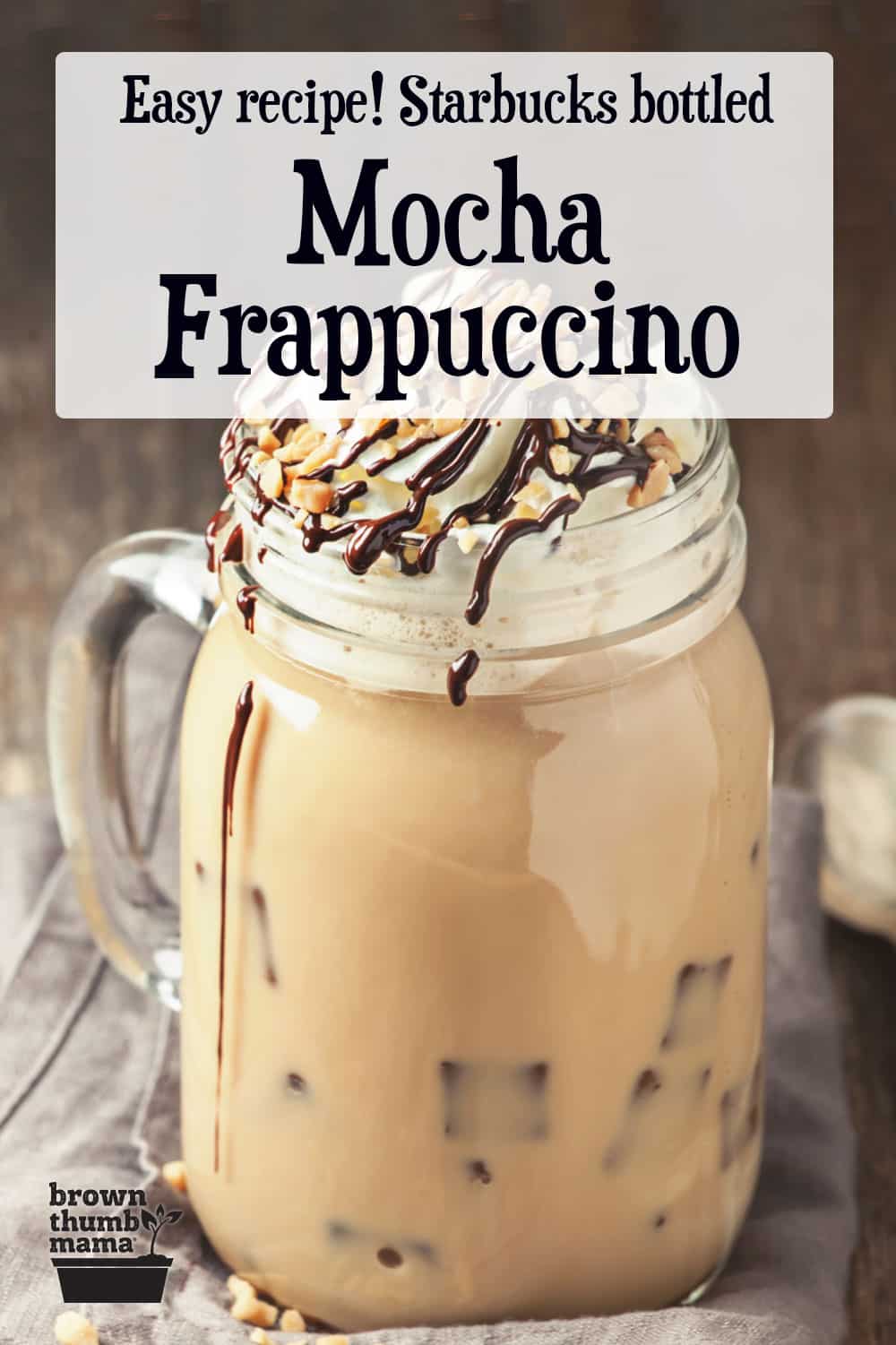 Starbucks Bottled Mocha Frappuccino Recipe - Brown Thumb Mama®