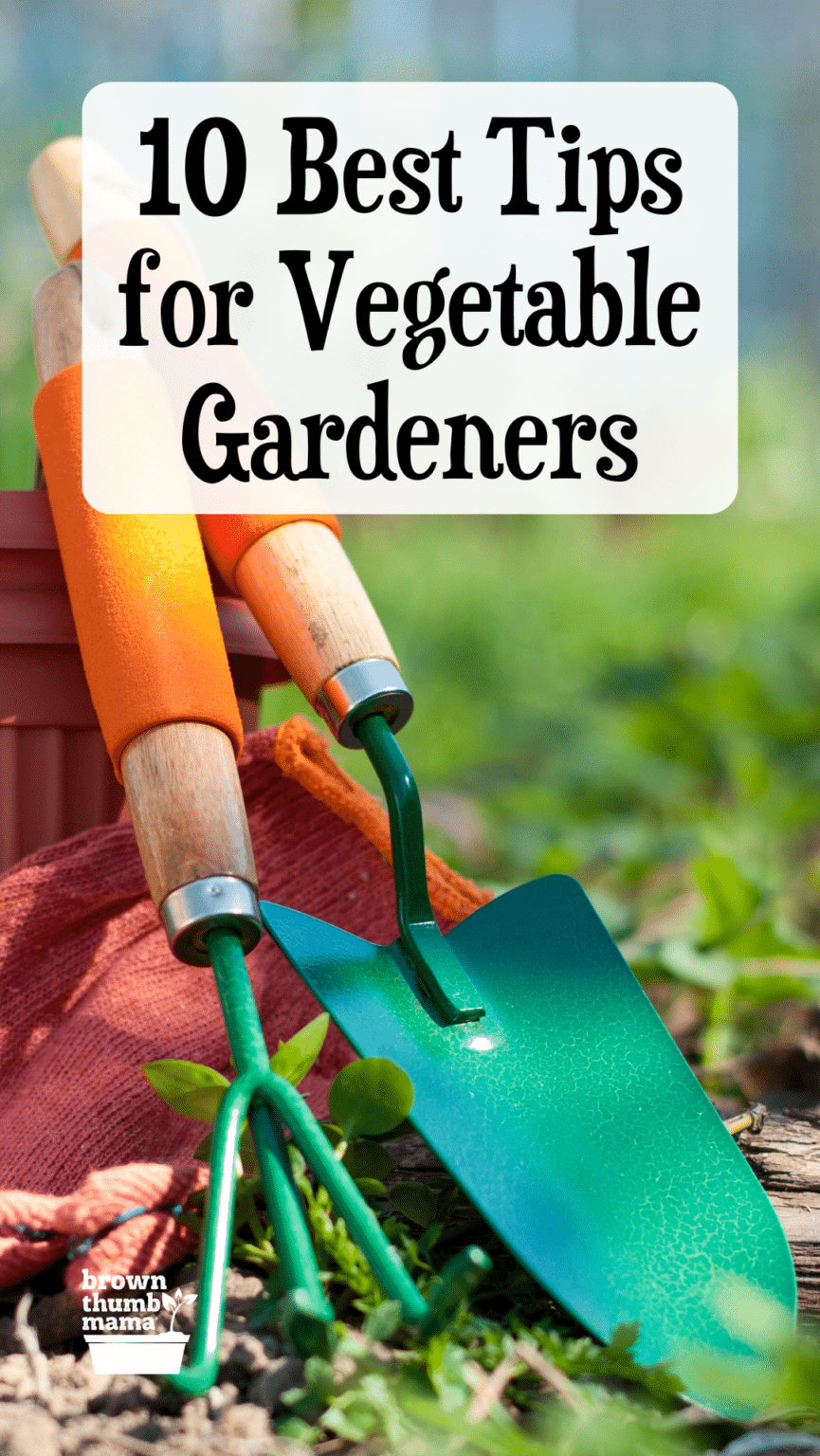 Top 10 Vegetable Gardening Tips - Brown Thumb Mama®